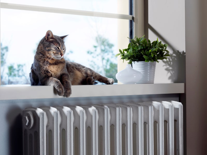 How to Maintain Your HVAC System if You Have Pets